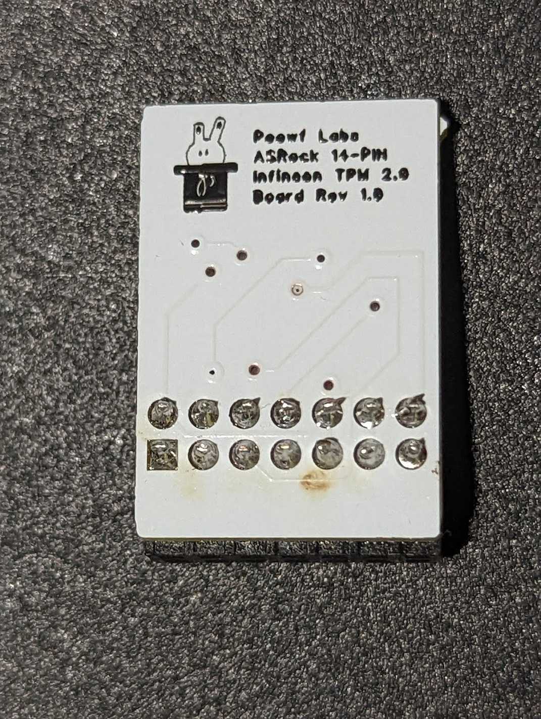 DIY TPM Module | Zane Chua