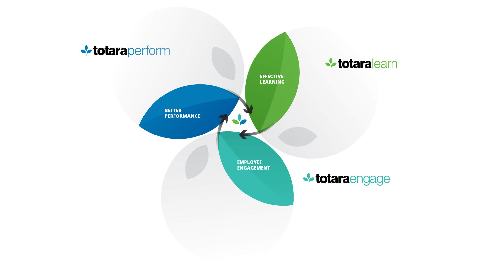 Totara | BuildEmpire