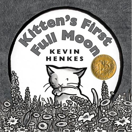 Kitten's First Full Moon: A Lighthearted Lesson in Learning - Daily Fig
