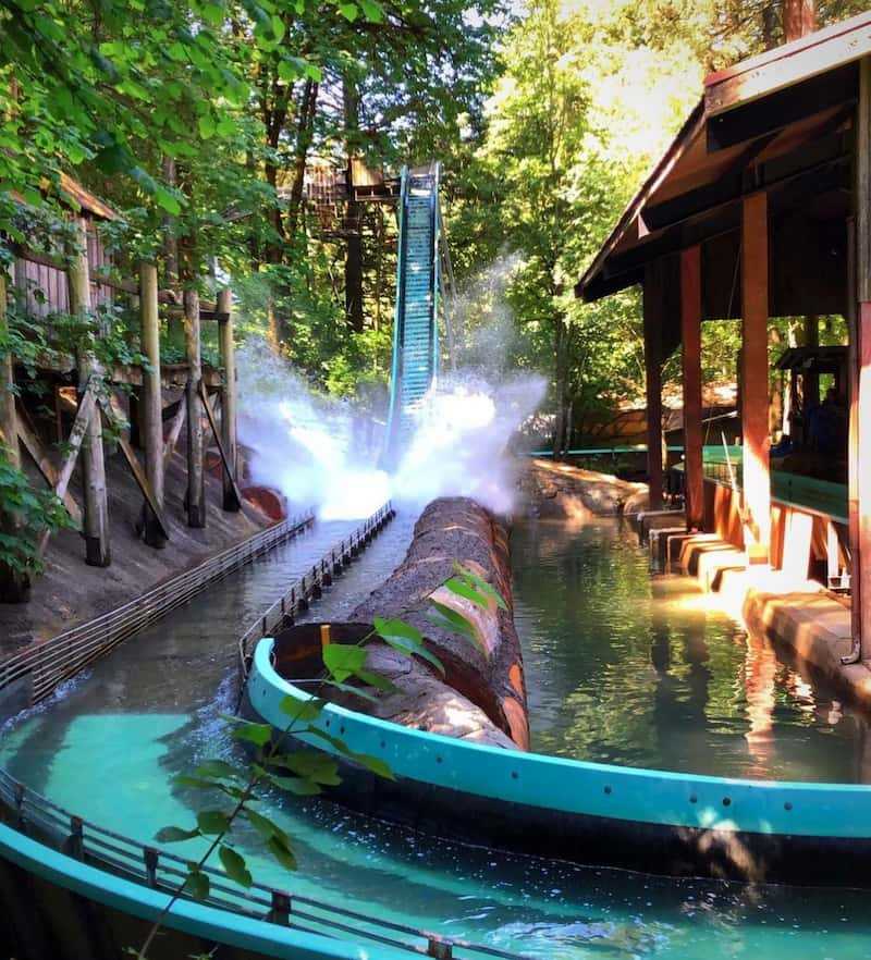 Finding Yourself at Enchanted Forest - Vibemap