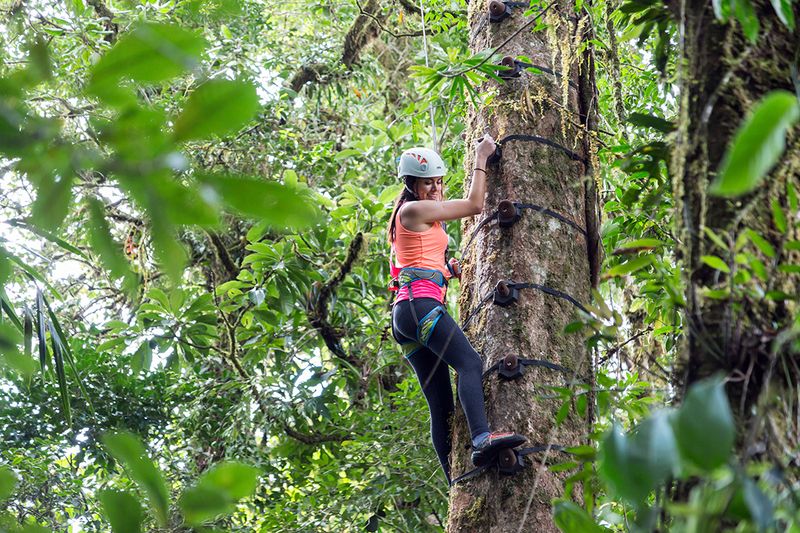 Monteverde Things to do, Tours, and Day Trips