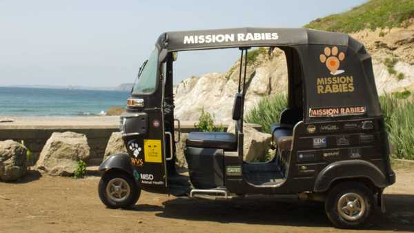 Mission Rabies // WVS