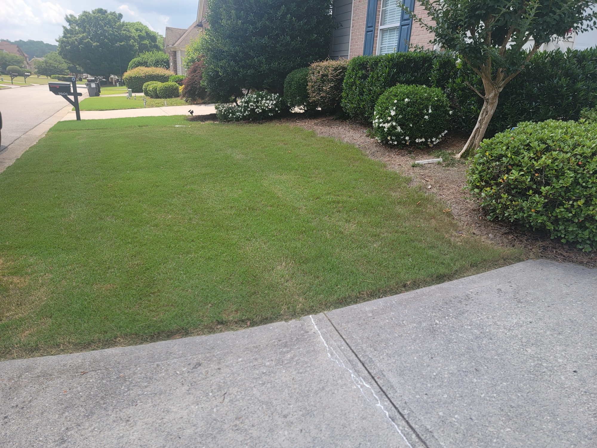 Hector the Lawn Inspector