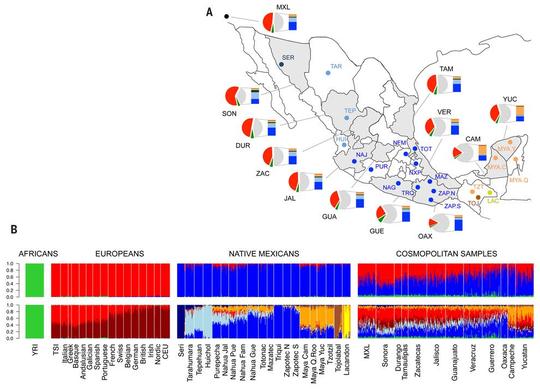 Mexico’s Black Population