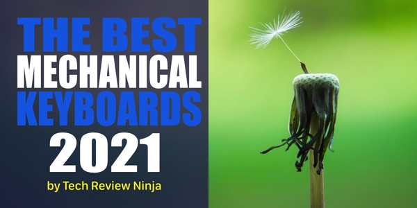 The Best Mechanical Keyboards for 2021 | Tech Review Ninja