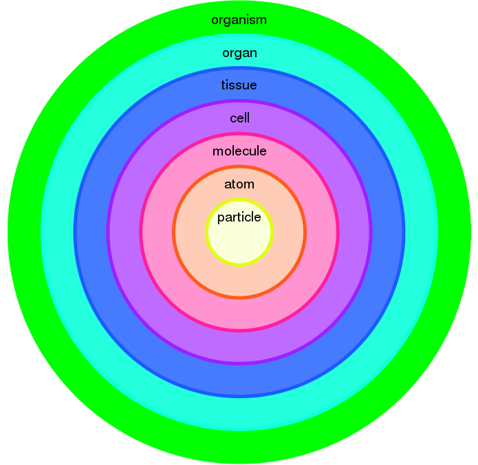 Life as a Holon | life as a hippie hacker