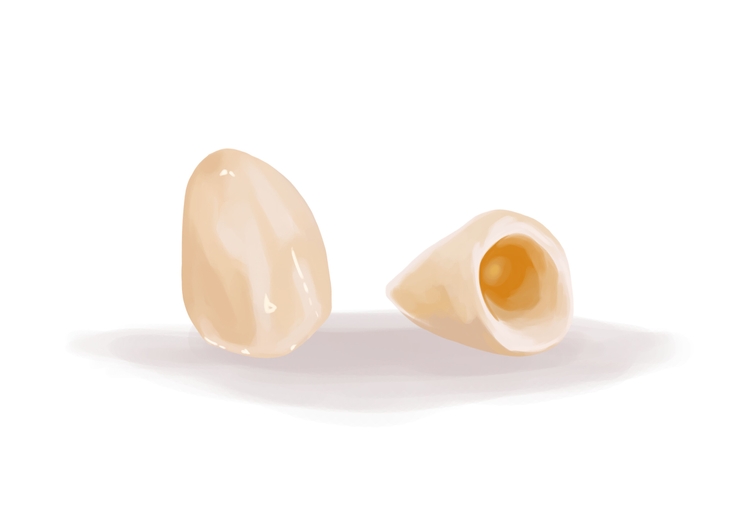 Picture by Authority Dental under CC 2.0 license