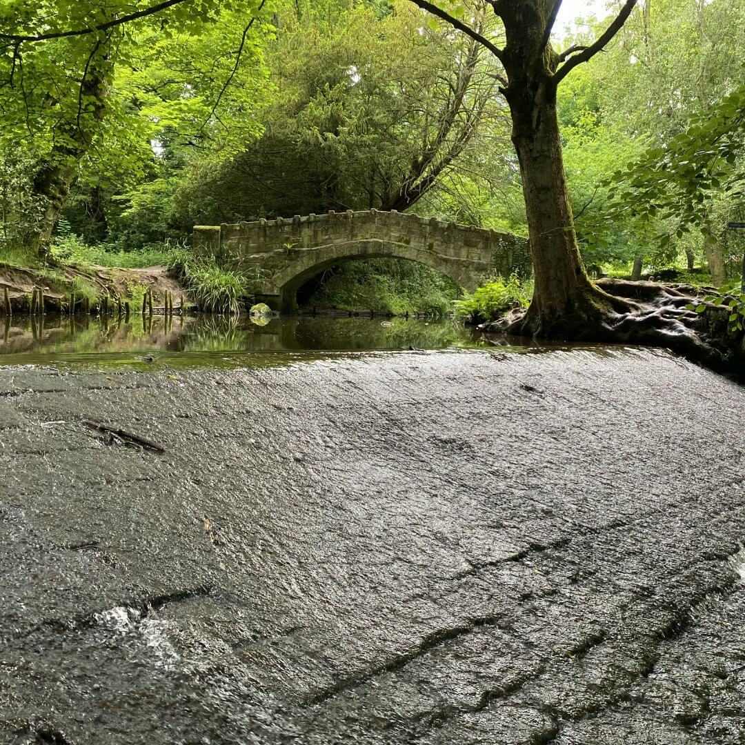 Meanwood Park - Discover Leeds