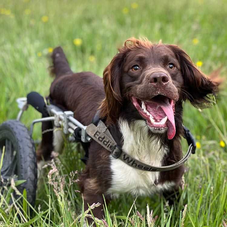 Soldier is always inspiring Vicky with his determination to live a ...