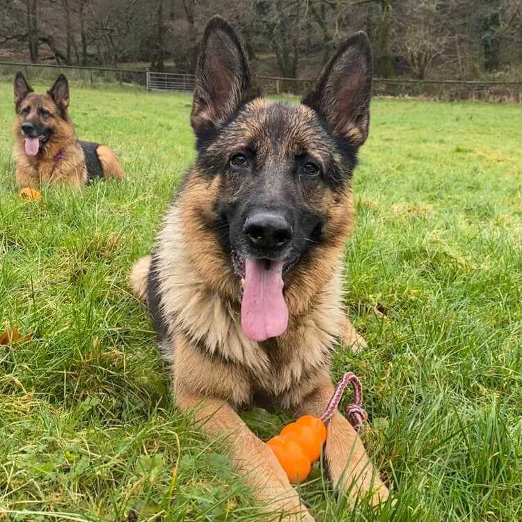 Mandy adores the way Orrin takes care of everyone around him