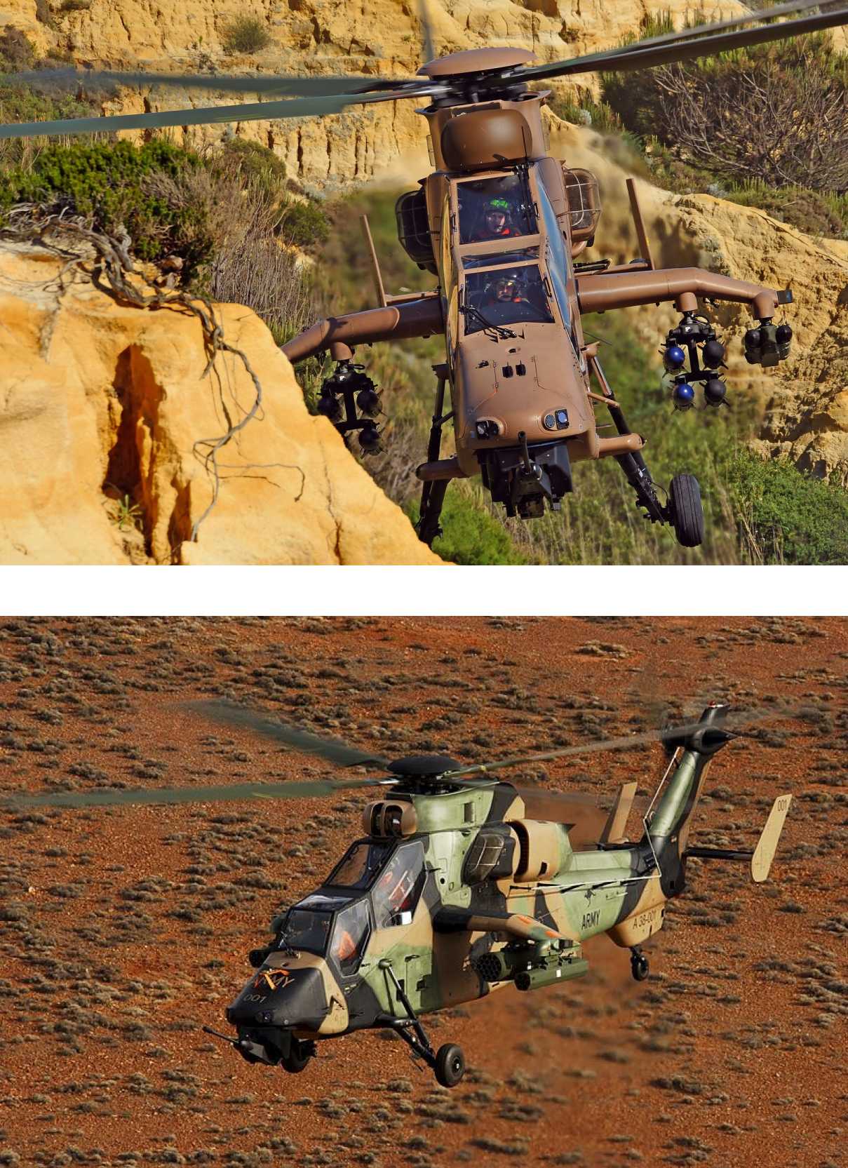 Tigre, hélicoptère de combat - Ida Borie