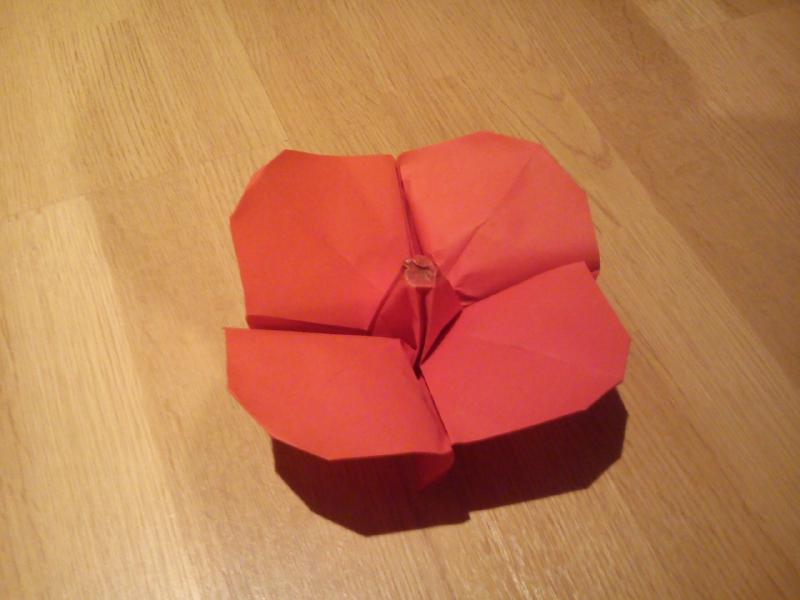 Origami Poppy | Declan Webb