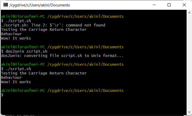 Solve R Command Not Found on Bash (Or Cygwin) | Delft Stack
