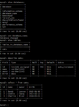 How to Create a Database in Laravel with Homestead (No phpMyAdmin ...