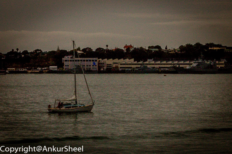 New Zealand Escapes: Rangitoto Island