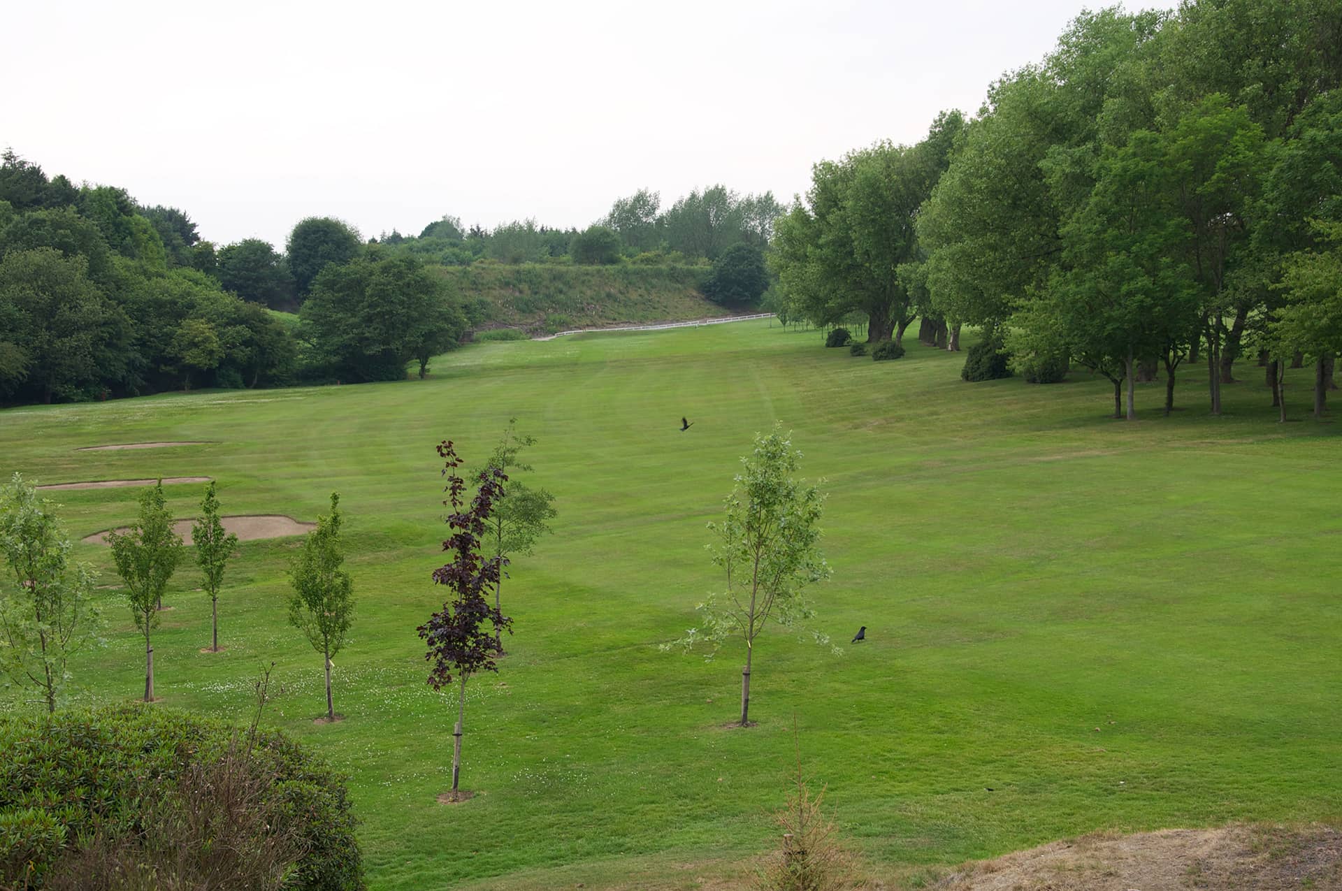 Cleckheaton Golf Club - Hole 18