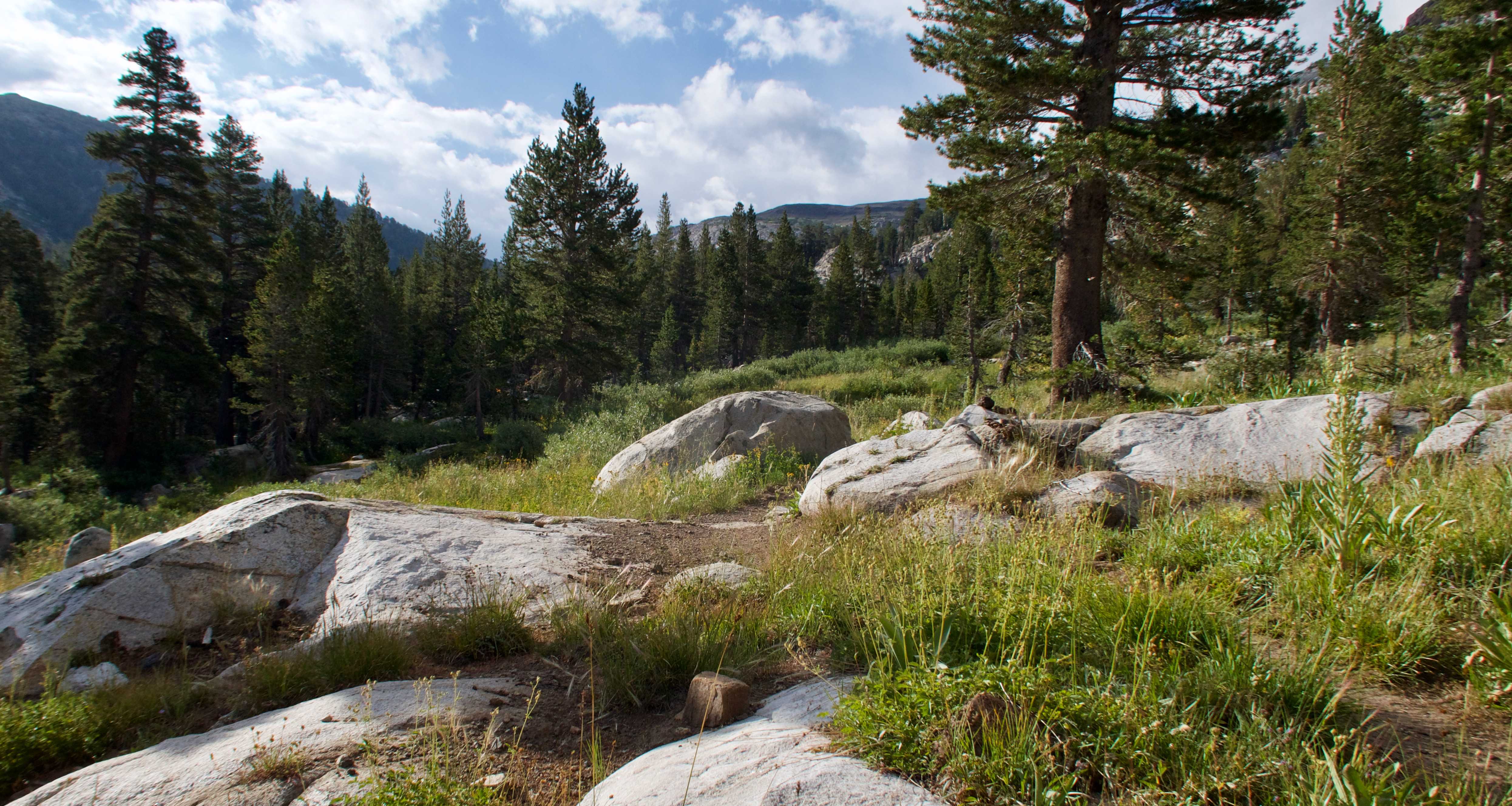 PCT 2019: Day 122, Carson River to Kennedy Canyon Creek | Hike with Gravity