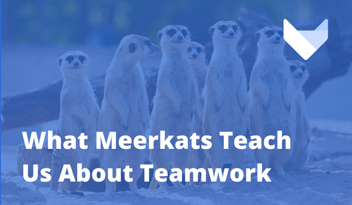 How Gridfox Helps Managers Lead Teams