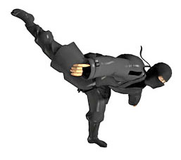 Body Weapons · 木隠 · Ninja, Ninjutsu & Martial Arts