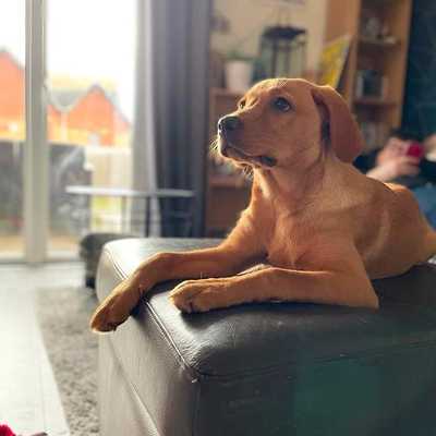 Mags has given both Coral and her partner a positive focus during ...