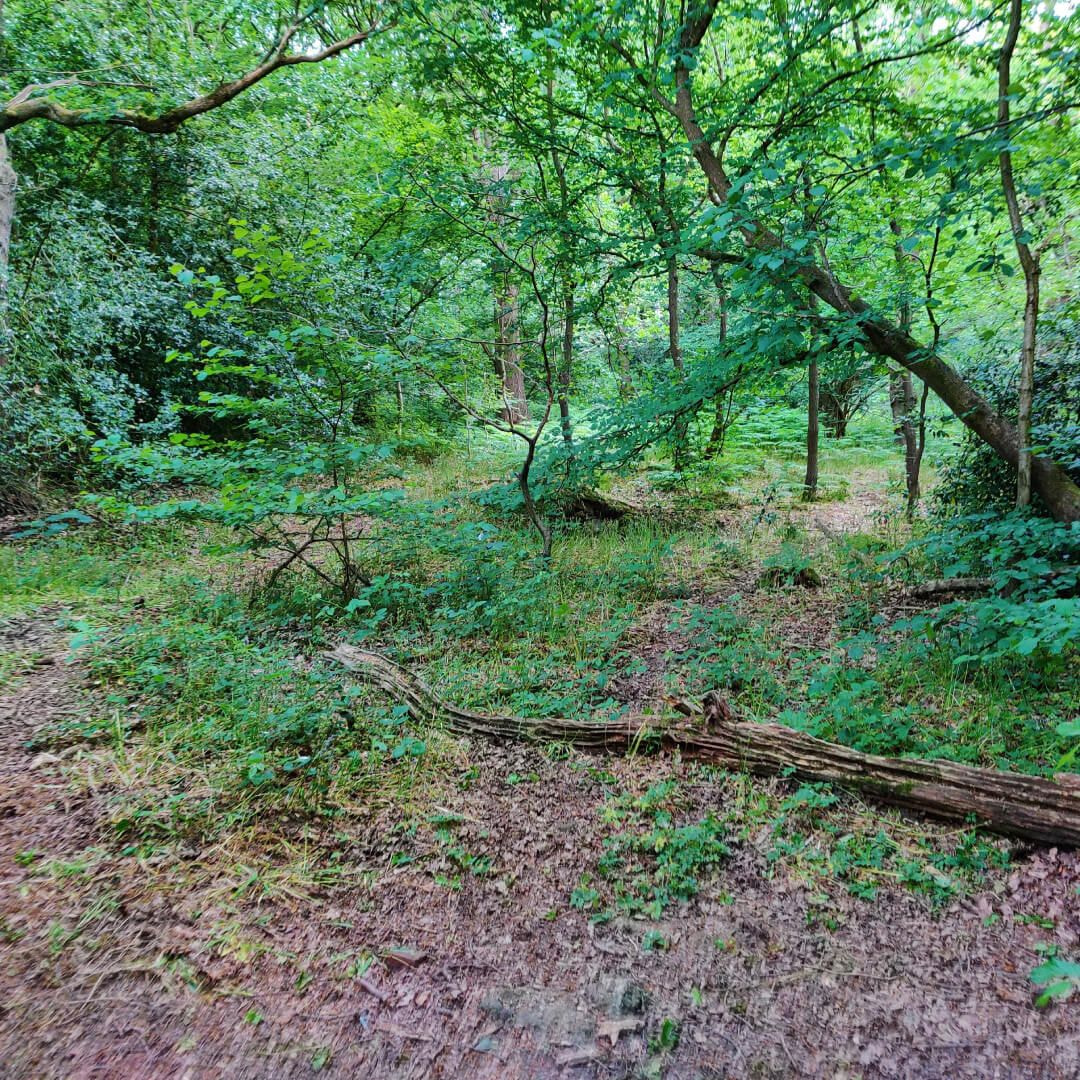 Hawksworth Wood - Discover Leeds