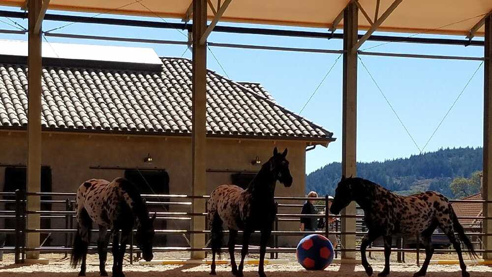 KENWOOD, CA | WeCover Custom Fabric Riding Arenas