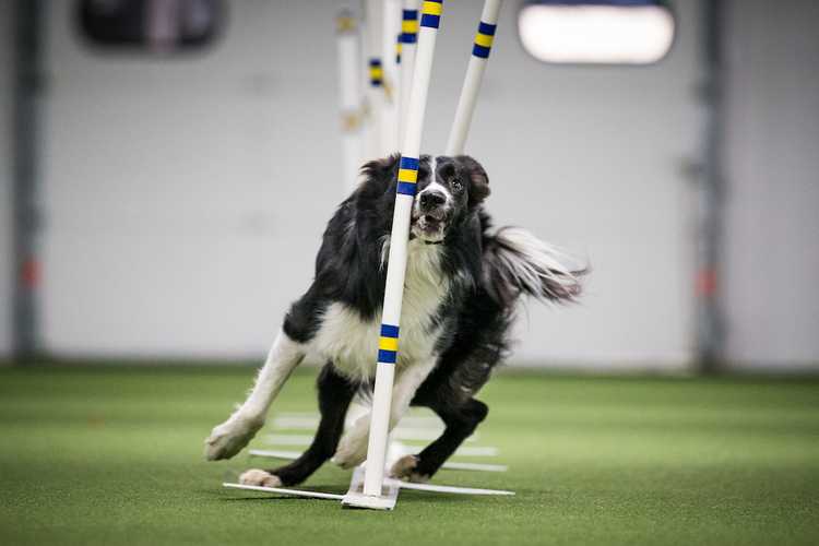 All posts | AgilityNerd