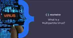 What is a multipartite virus?