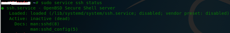 SSH to Remote Server | Delft Stack