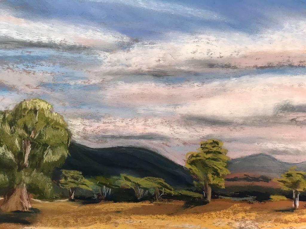 Flinders Ranges A Brush With Art 2021 | UpNext