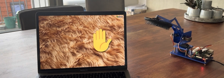 Raspberry Pi, Python and cats: my first foray into embedded development ...