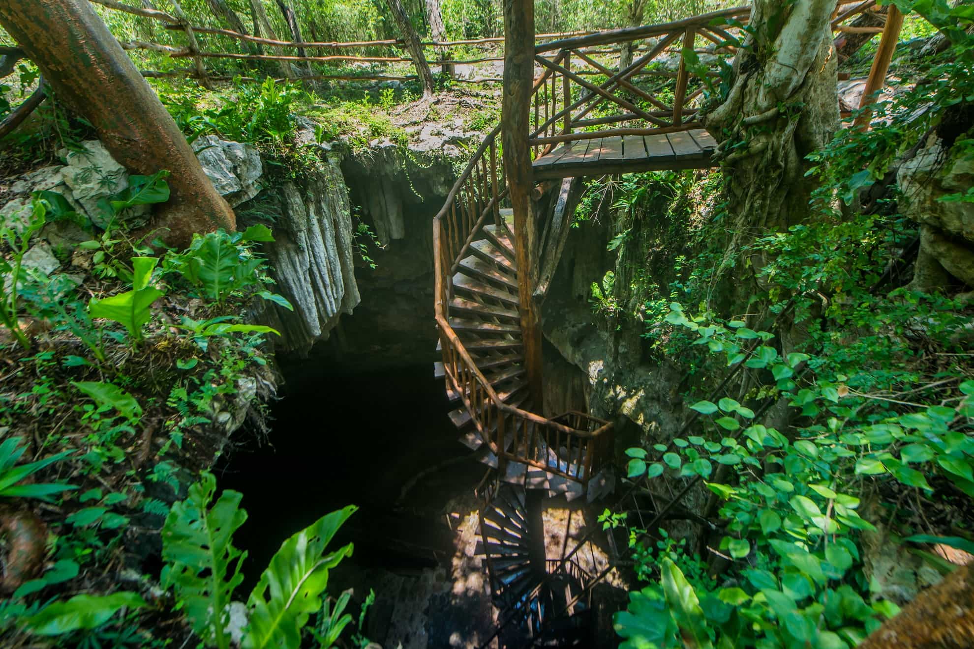 Los 7 cenotes