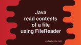 Java program to read contents of a file using FileReader - CodeVsColor