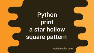 Python program to print a star hollow square pattern - CodeVsColor