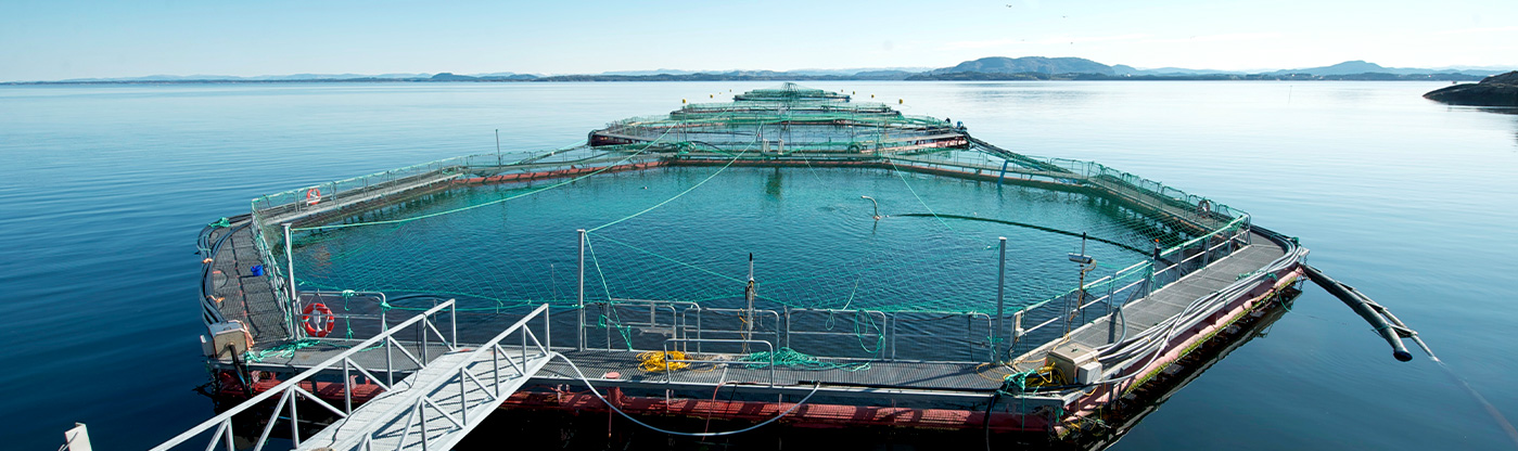 Blom Fiskeoppdrett AS - Oppdrett av laks og ørret