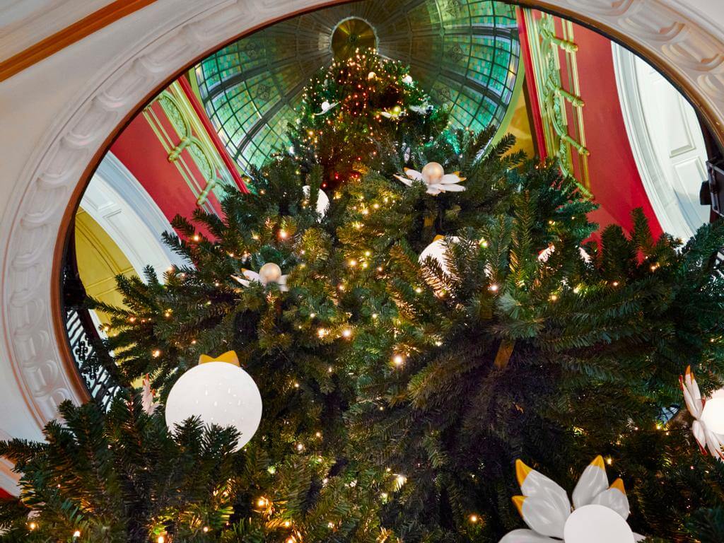 The QVB Christmas tree 2021 | UpNext