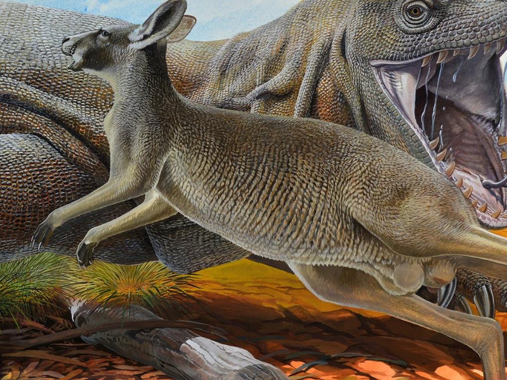 Australian Megafauna Exhibition 2021 | UpNext