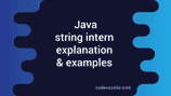Java string intern method explanation with an example - CodeVsColor