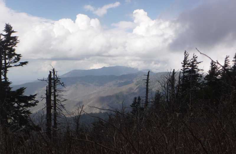 AT 2017: Day 17, Derrick Knob Shelter to Mt. Collins Shelter | Hike ...