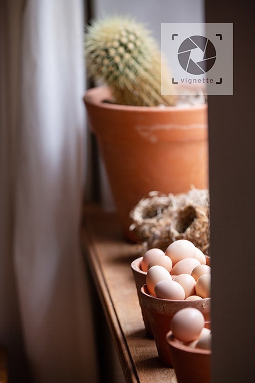 Uitkyk | Editorial features, such as this one, are sold exclusively on ...